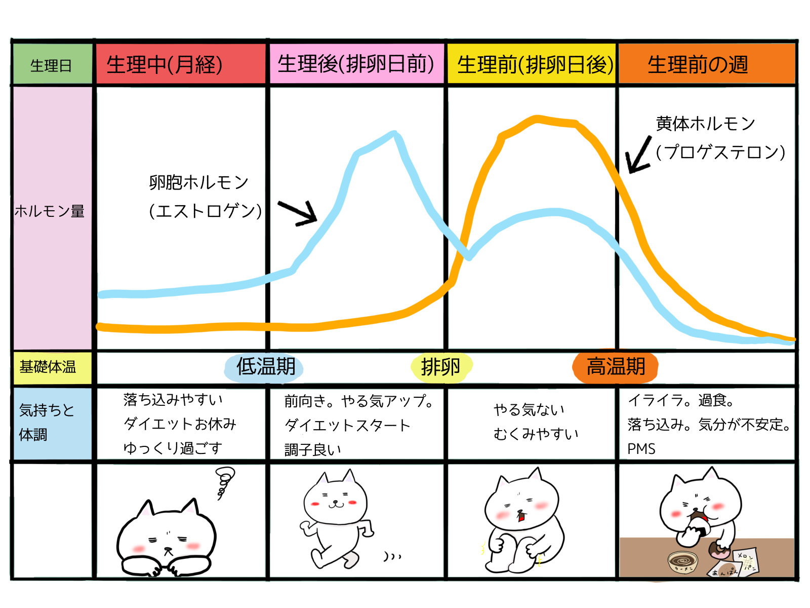 生理前のダイエットは意味ない?痩せない理由と「それでも痩せる」コツ 健康 ビューティ ×スポーツ『melos』